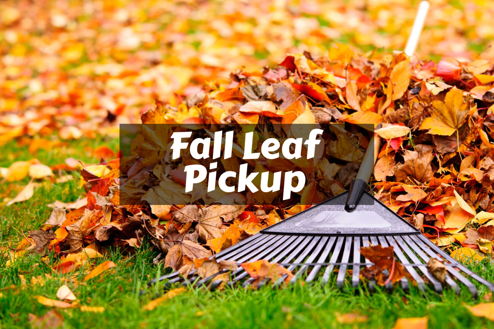 Fall Leaf Pickup Information – Village of Barnesville, Ohio